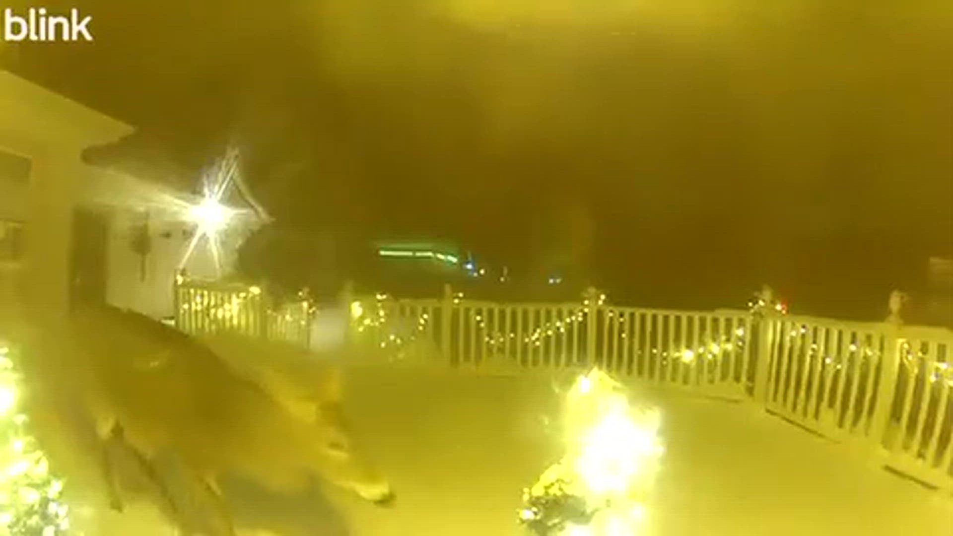 Porch pirate | wnep.com