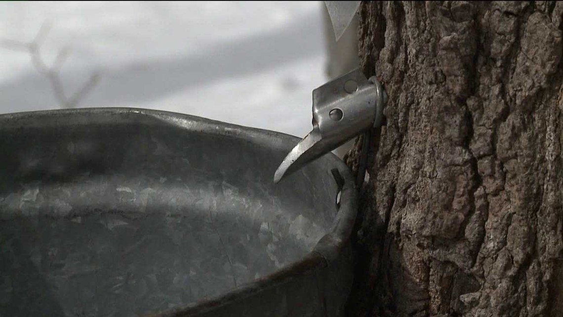 Sap Taps Run Dry | wnep.com