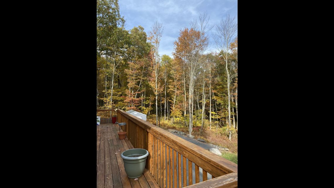 Fall Foliage Map | When and where to see the best fall colors | wnep.com