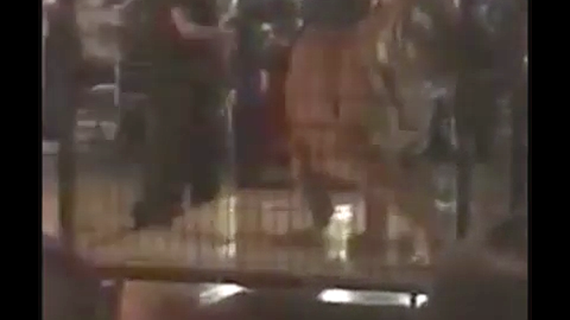 Miami School Faces Backlash for Caged Tiger at Prom | wnep.com