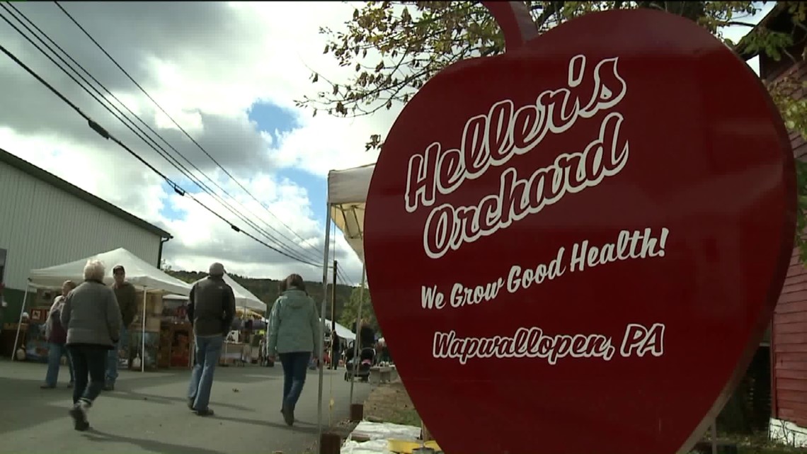 Folks Celebrate Fall Apple Festival | wnep.com