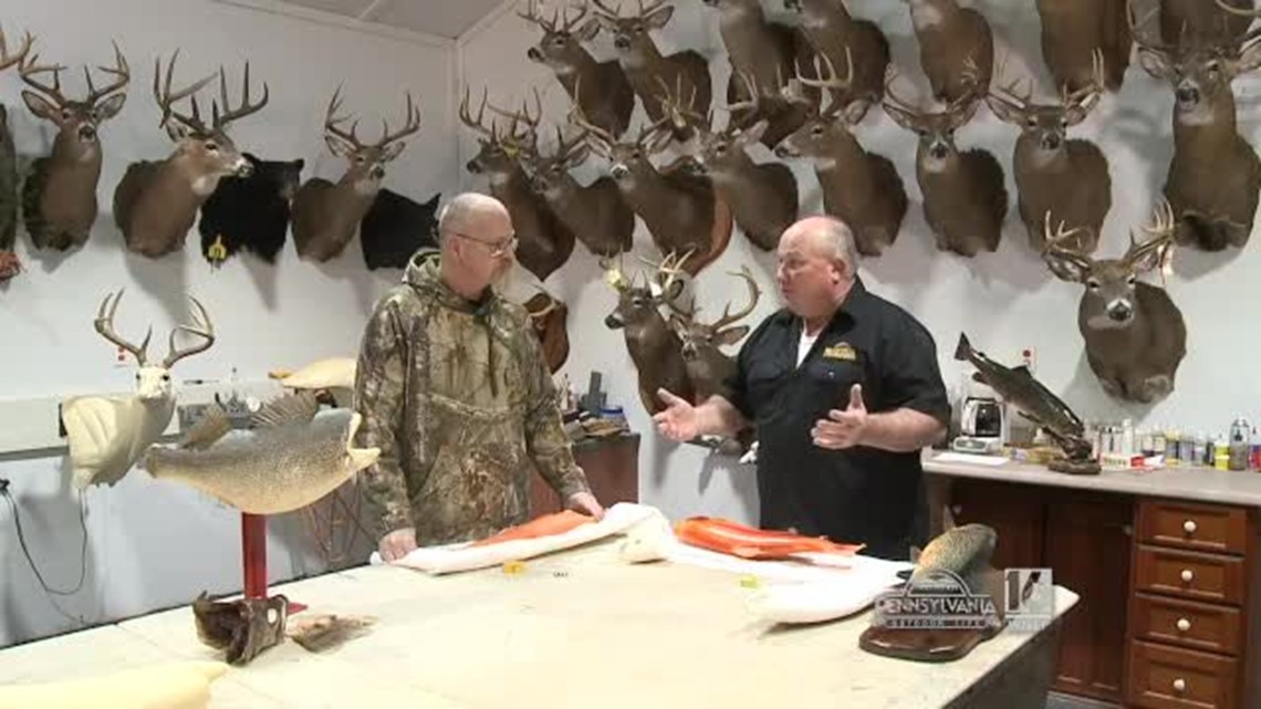 Butler’s Taxidermy | wnep.com