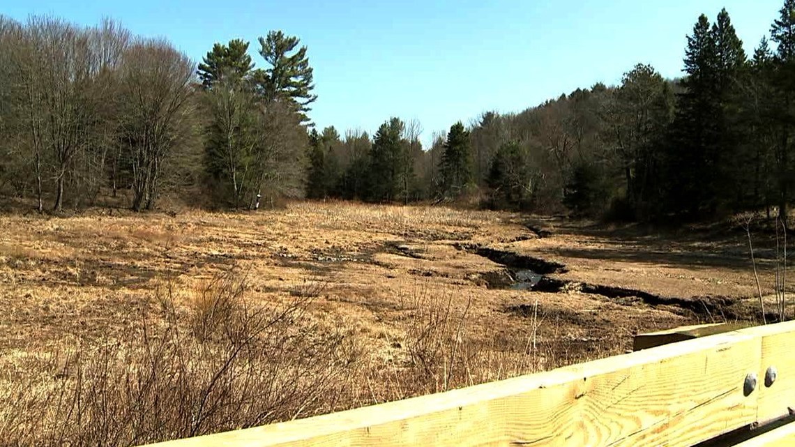 Rescued From Mud In State Park | wnep.com