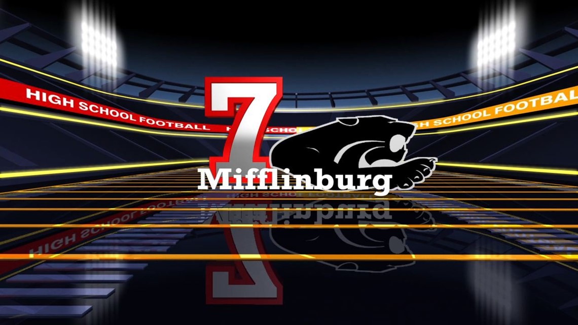 Mifflinburg Wildcats Super 16 team #7 | wnep.com