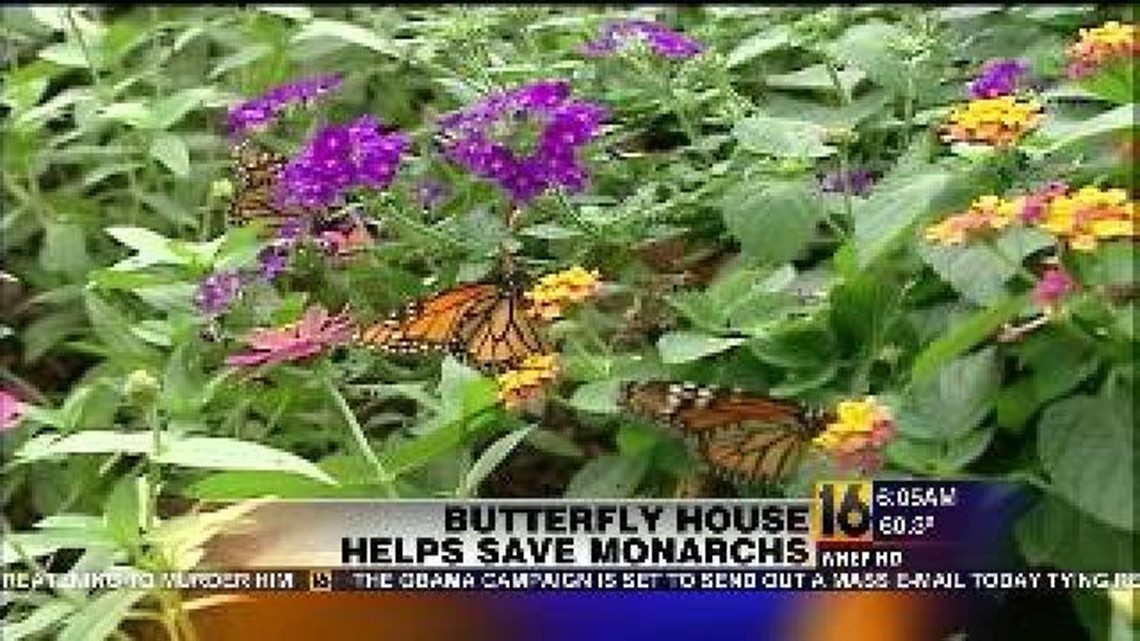 Butterfly House | wnep.com