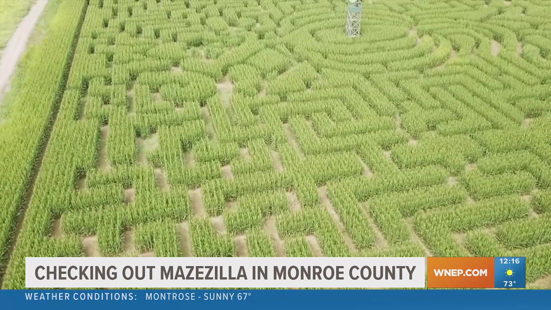 Mazezilla returns with 'Sweet Treats' theme this weekend | wnep.com