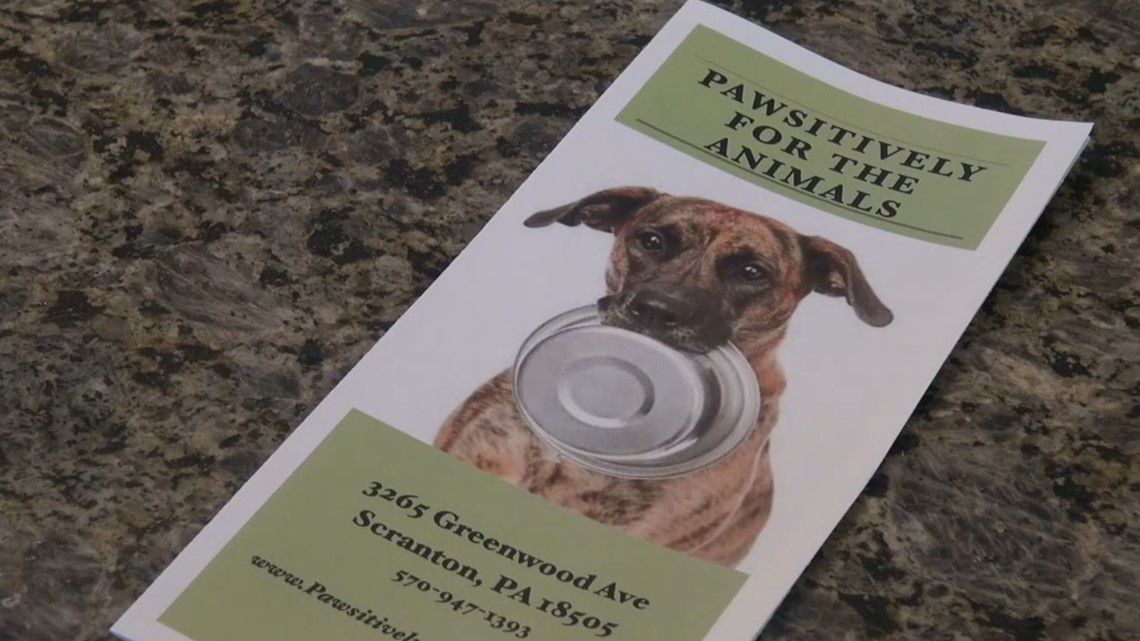 PAWsitively for the Animals, a positive during the pandemic | wnep.com