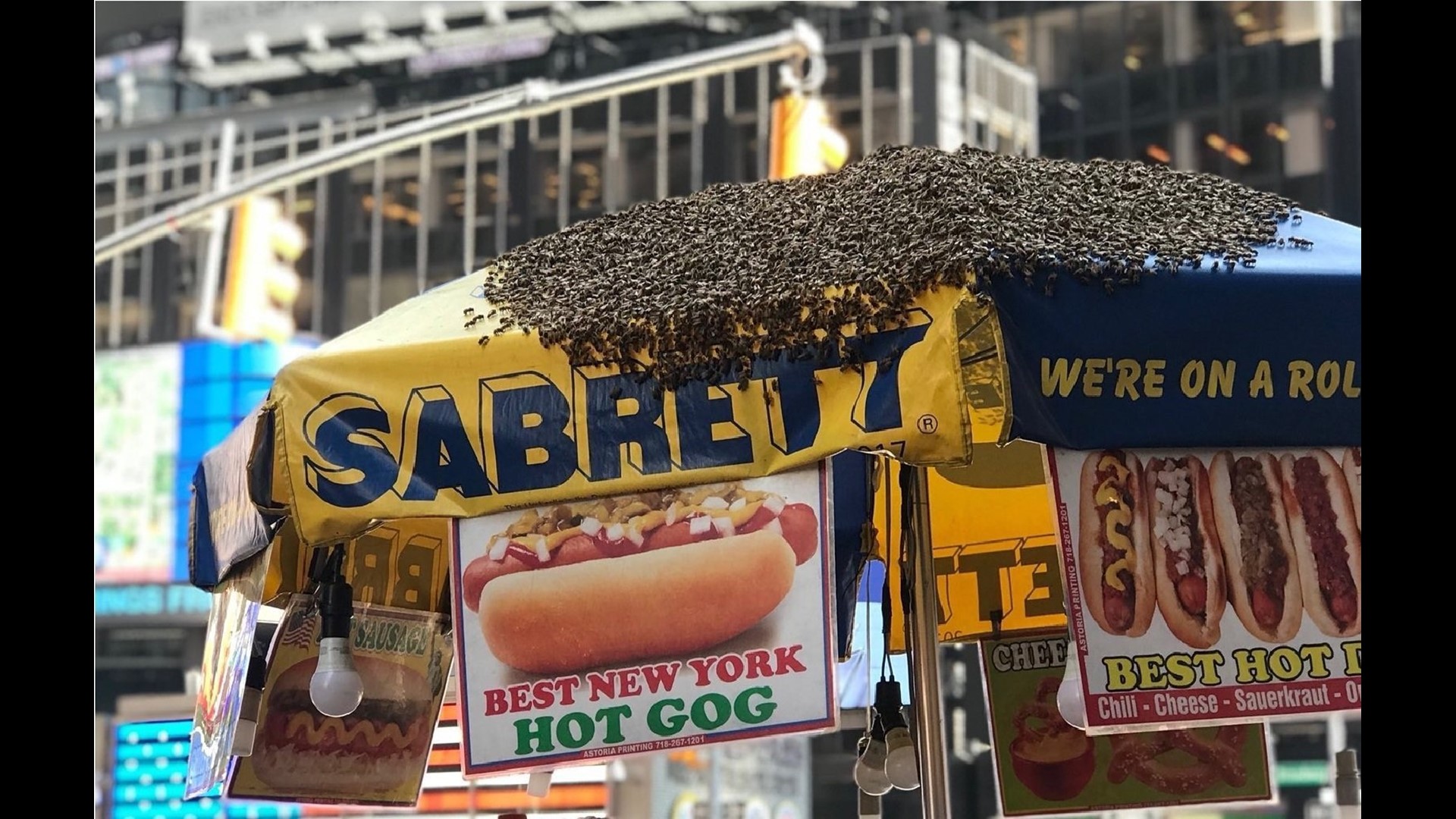 Watch Thousands of Bees Swarm Times Square Hot Dog Stand | wnep.com