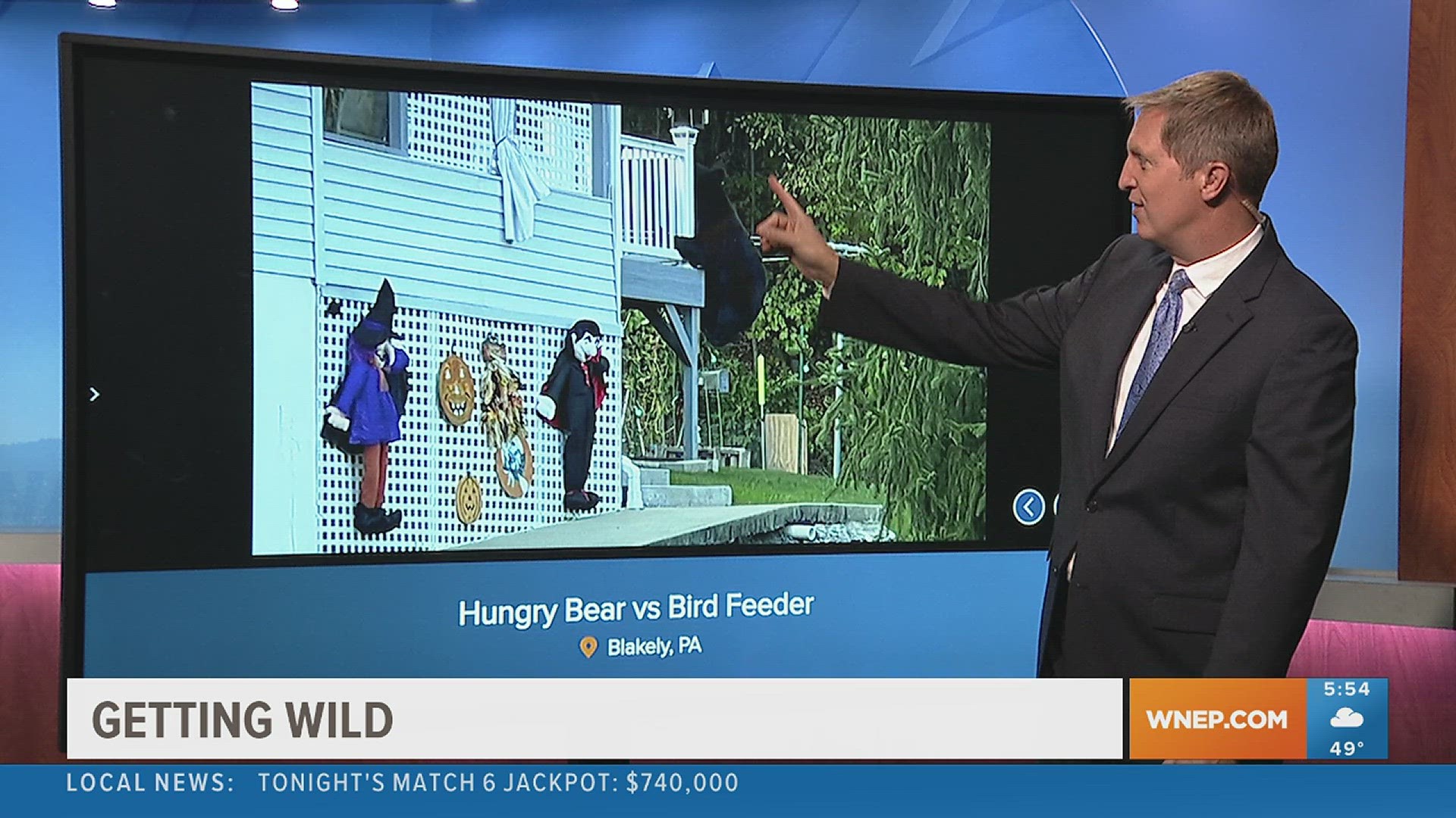 Wildlife Wednesday pictures sent in by viewers | wnep.com