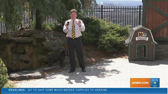 Local News | wnep.com