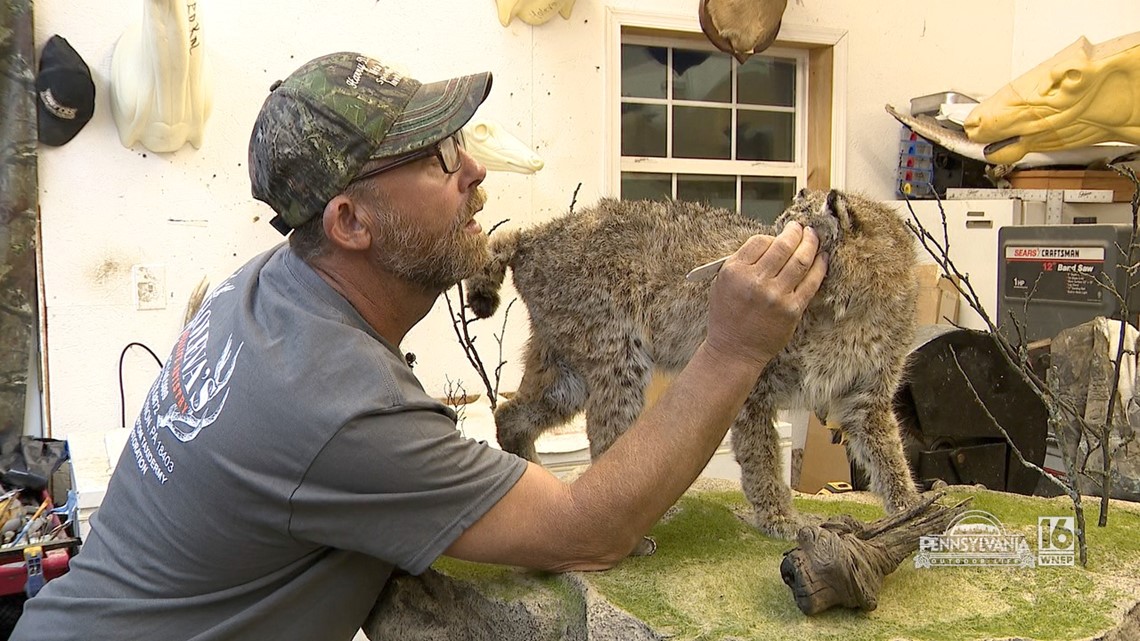 Holeva's Wildlife Artistry | wnep.com