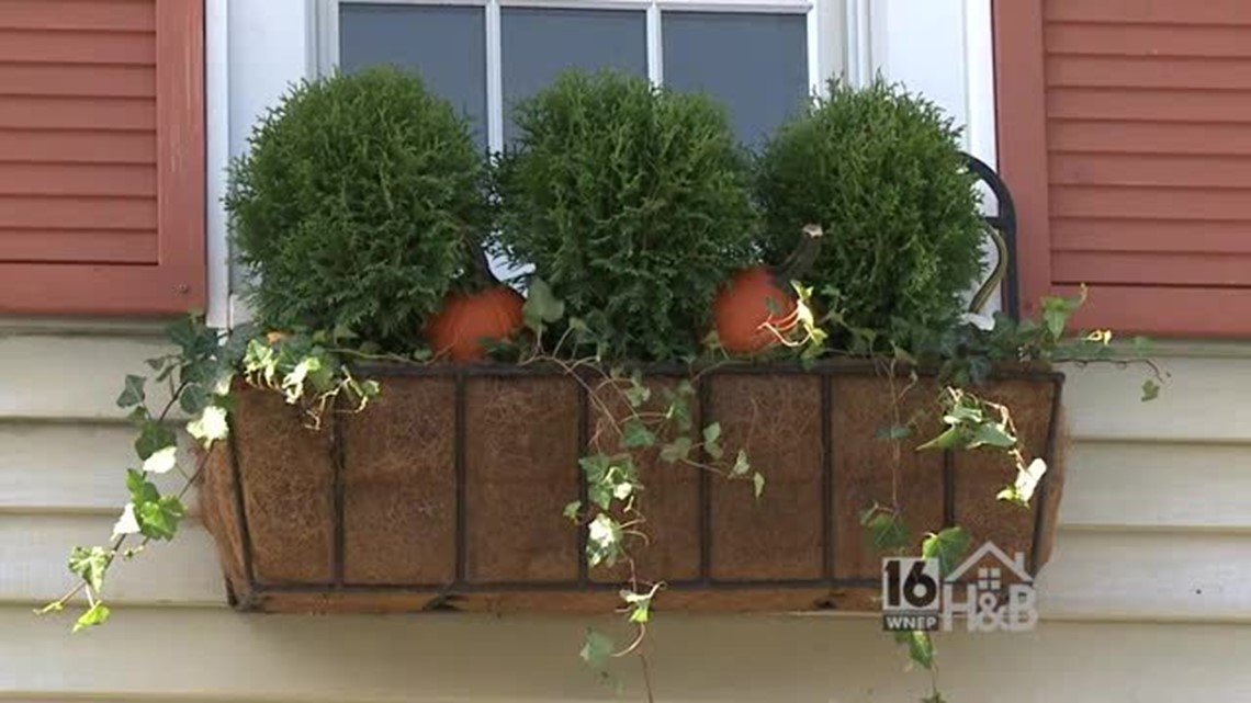 Pretty Pumpkin Window Boxes | wnep.com