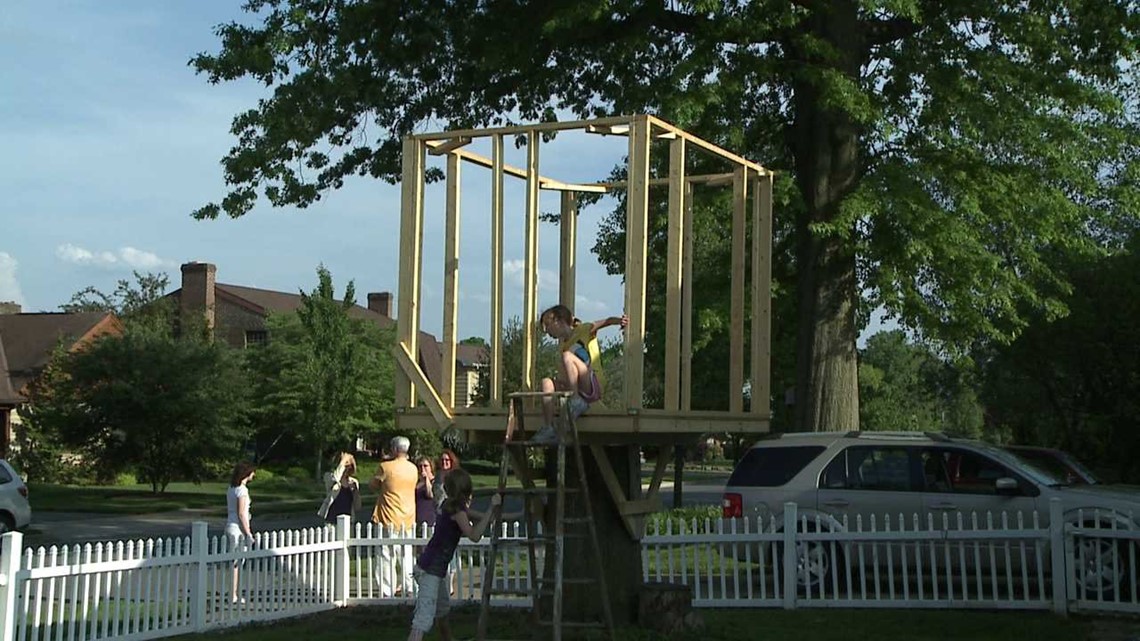 Man Ordered To Tear Down Tree House | wnep.com