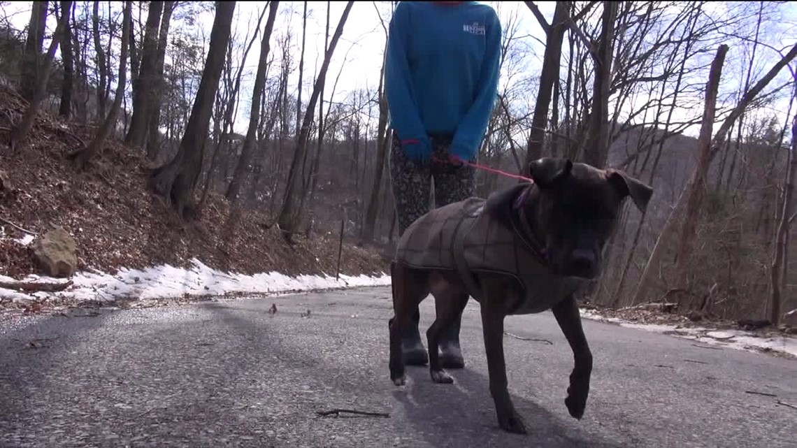 16 To The Rescue: Rhea | wnep.com