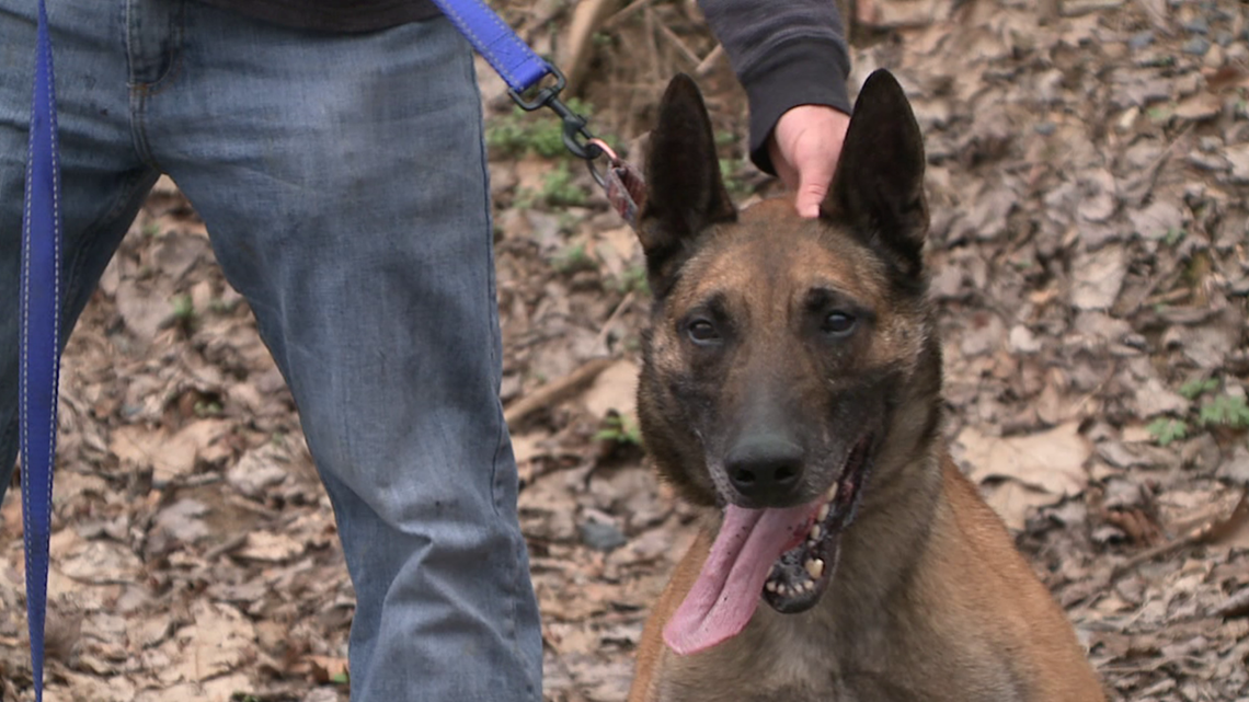 K9 team reunited in Northumberland County | wnep.com