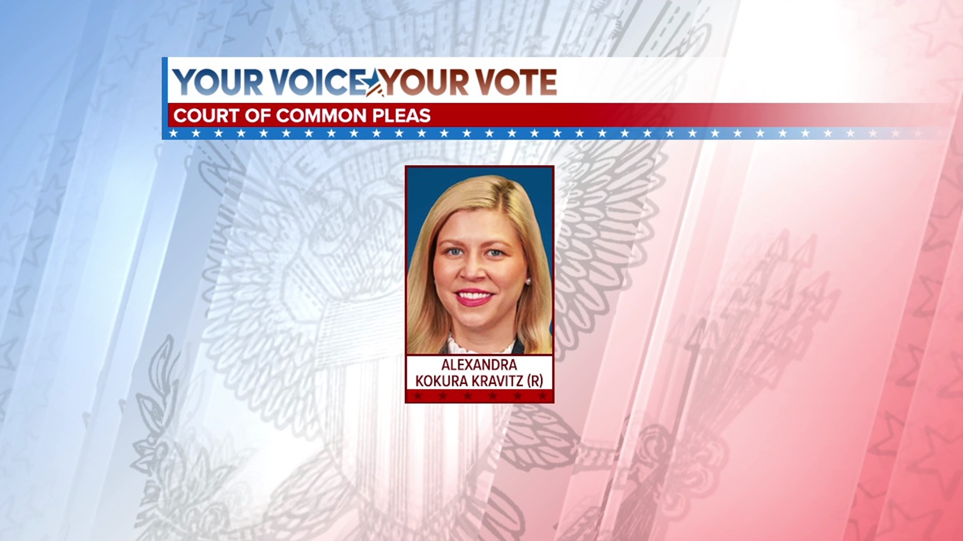 Salavantis, Toohil lead Luzerne County judge election | wnep.com