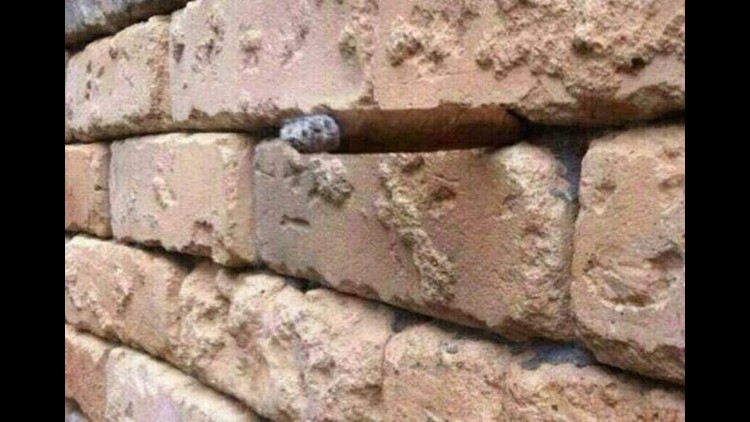 Brick wall optical illusion has the Internet banging its head | wnep.com