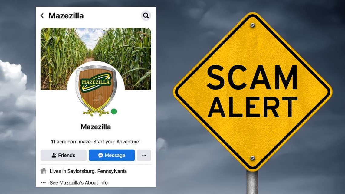 Mazezilla in Monroe County victim of online scam | wnep.com