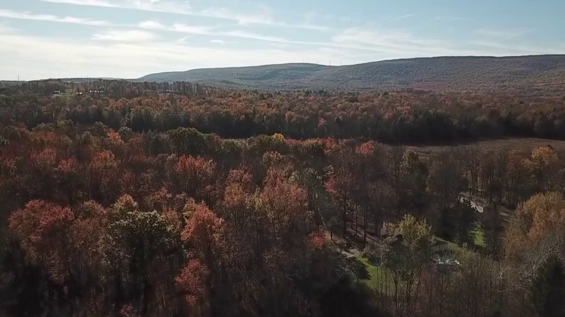 Poconos, the best spot for foliage? | wnep.com