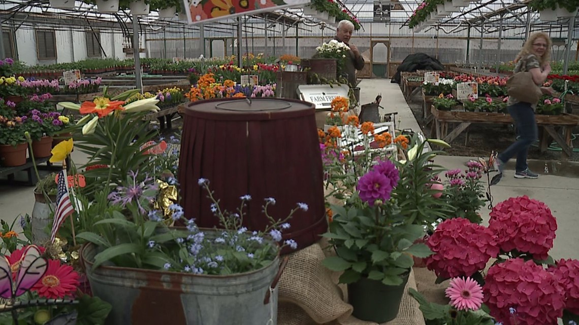 Local Greenhouse Opens for the Season | wnep.com