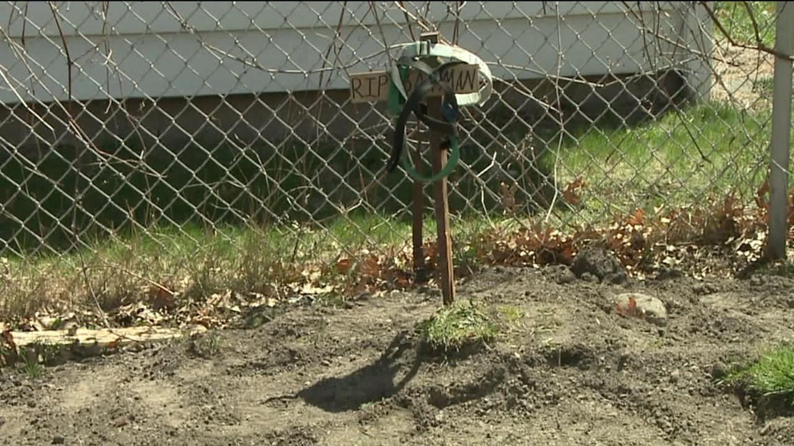 Pit Bull Shot, Later Dies | wnep.com