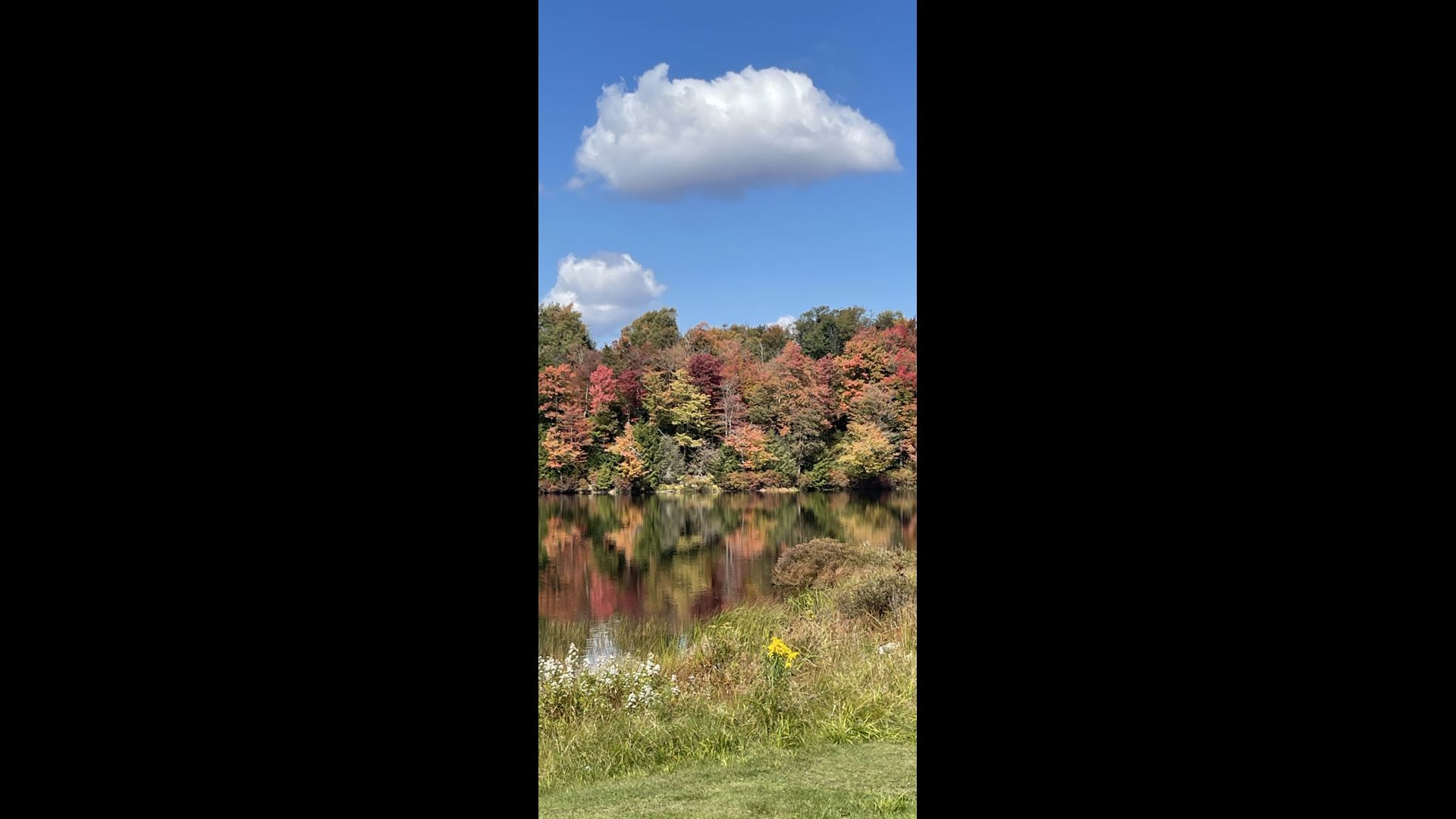 Fall Foliage Map | When and where to see the best fall colors | wnep.com