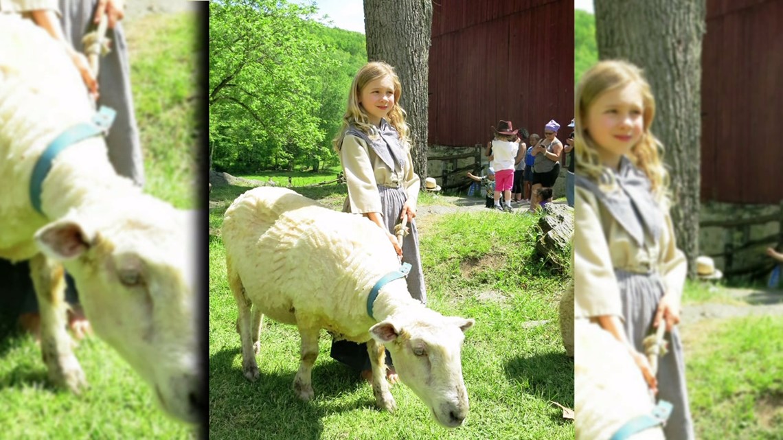 Family Farm Fun | wnep.com