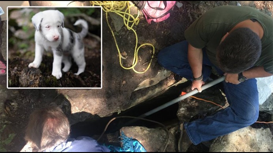 Rescuers Work to Save Puppy Trapped in 50-Foot Hole | wnep.com