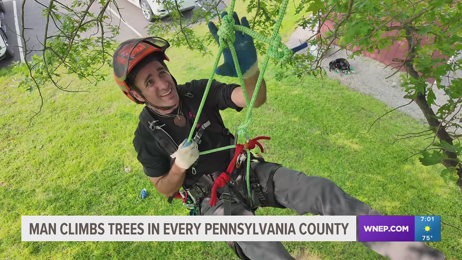 Teacher and forester climbs 67 trees in 67 Pennsylvania counties | wnep.com