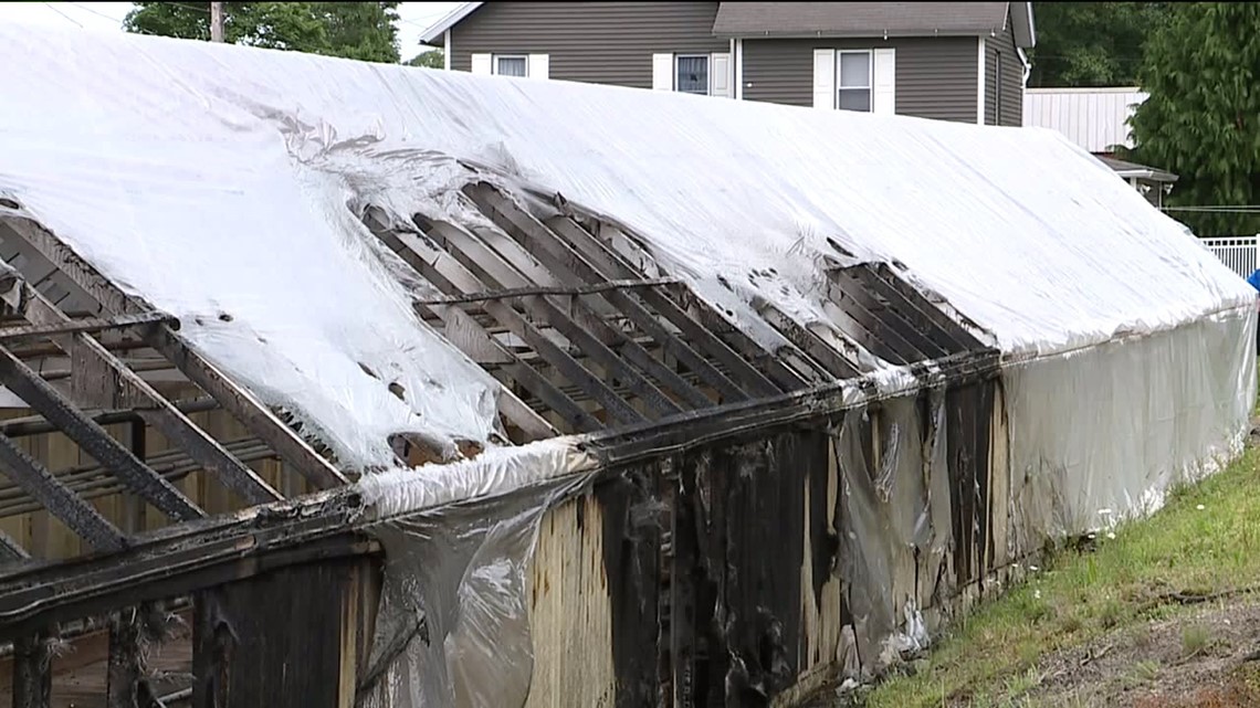 Greenhouse Damaged by Fire | wnep.com