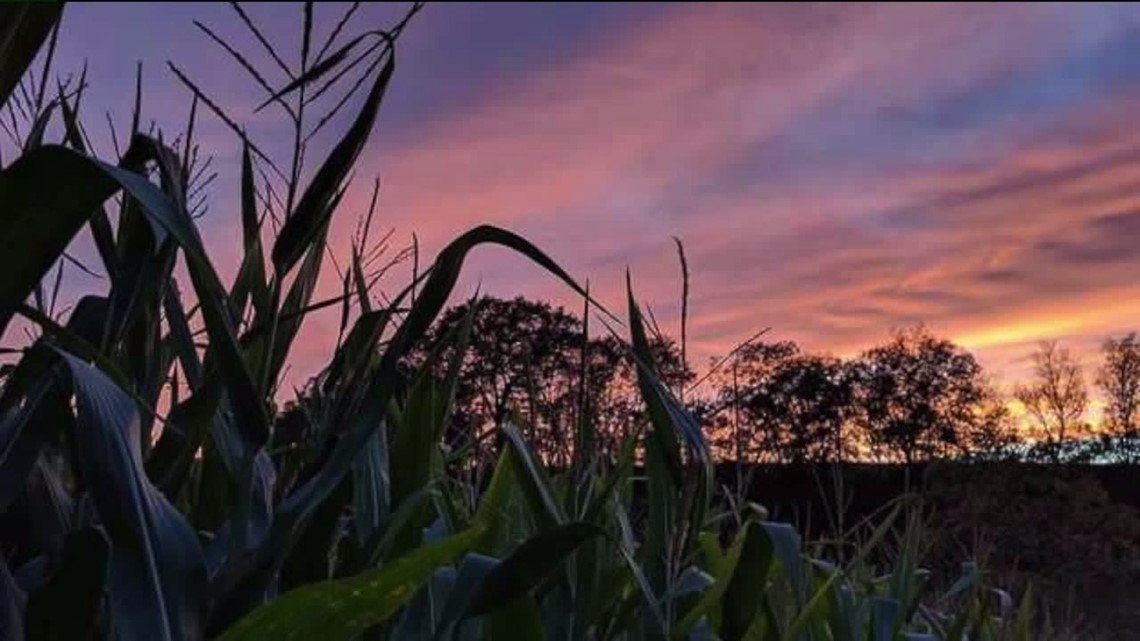 Summer Fading in the PhotoLink Library | wnep.com