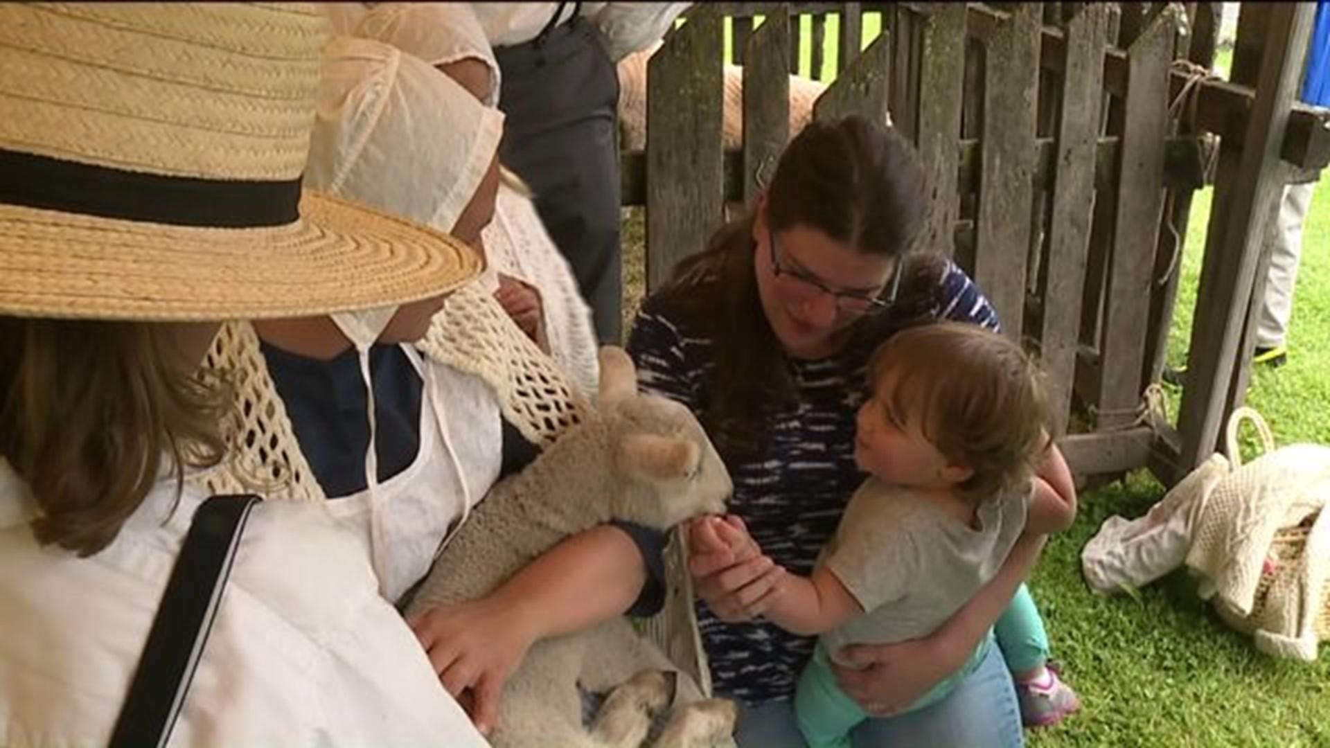 Farm Animal Frolic Teaches About Life on the Farm | wnep.com