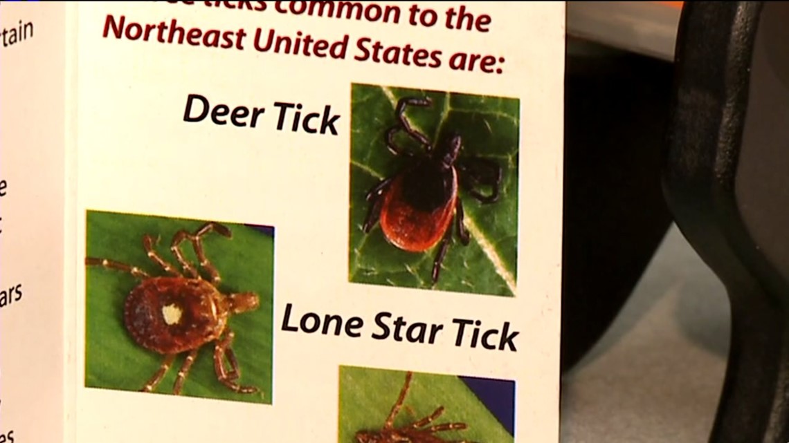 Adult Ticks Very Active This Fall | wnep.com
