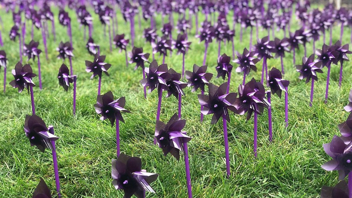 Purple Pinwheels Placed to Mark Domestic Violence Awareness | wnep.com