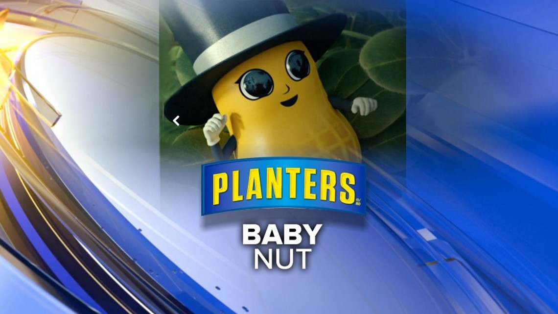 Fans Rejoice at the Birth of Baby Nut | wnep.com