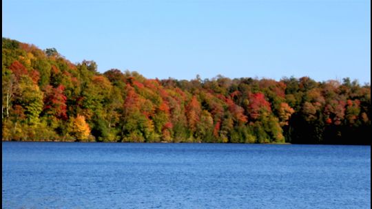 Fall Foliage Map | When and where to see the best fall colors | wnep.com
