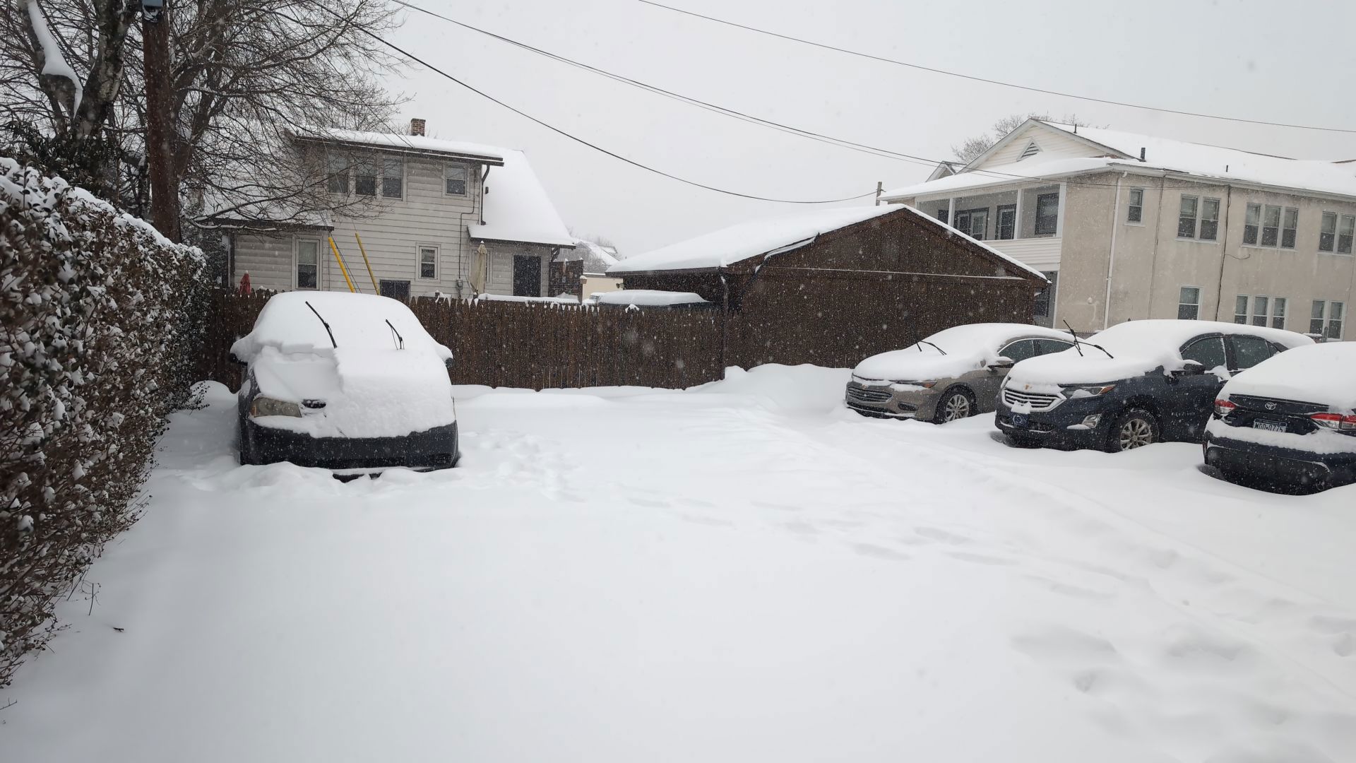 January winter storm arrives, as shown by you | wnep.com