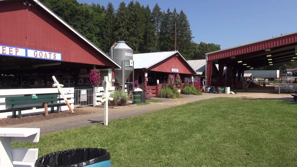 Wayne County Fair opens, vaccinations available | wnep.com