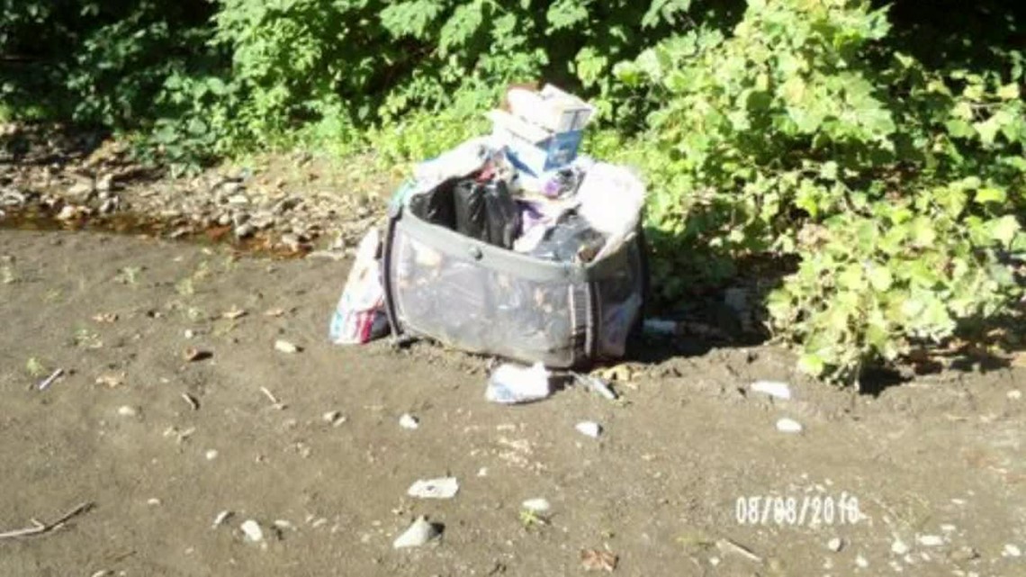 Efforts to Keep Park Clean Underway | wnep.com