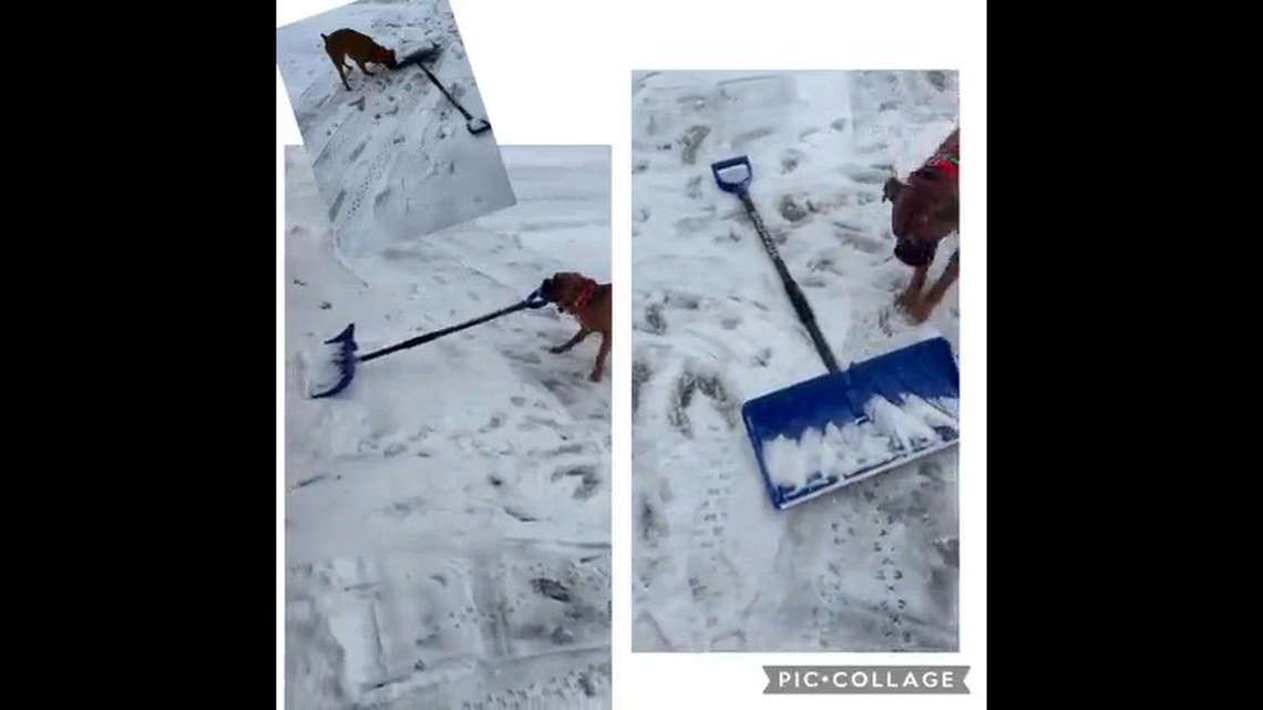 Brew at work | wnep.com