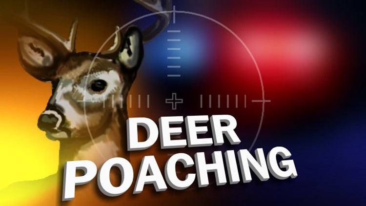 Man Nabbed for Poaching Deer | wnep.com