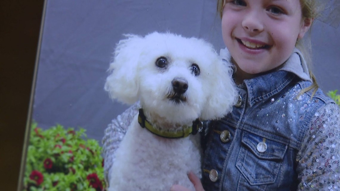 Tragedy Strikes After Family’s Dog Attacked at PetSmart, Later Dies ...