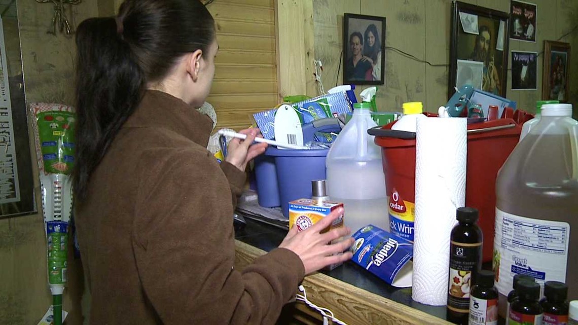 Eco-Friendly Cleaning Business | wnep.com