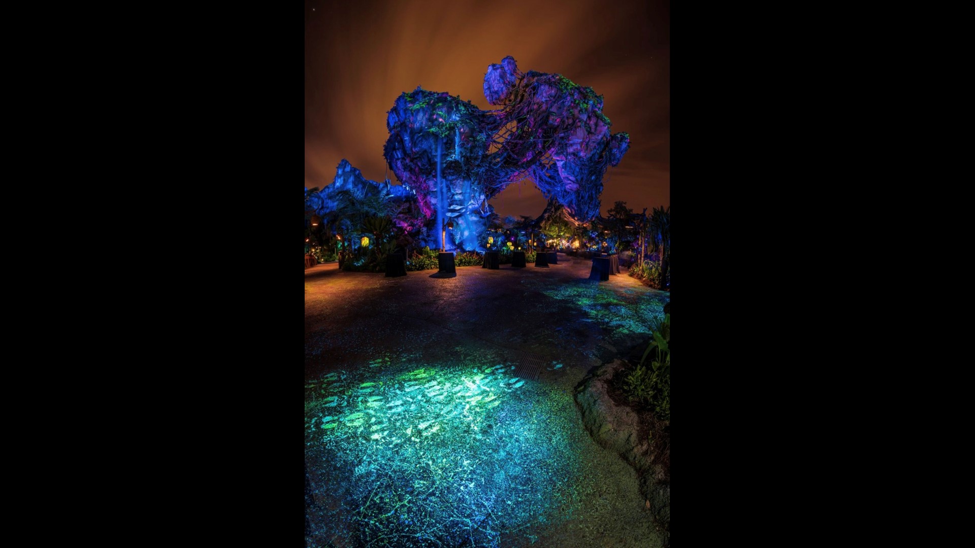 13 stunning photos of Disney’s ‘Pandora: The World of Avatar’ at night ...