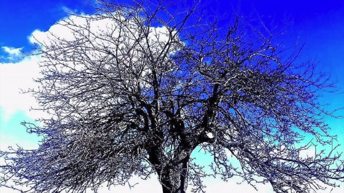 Chilly Scenes in the PhotoLink Library | wnep.com