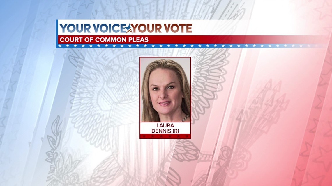 Salavantis, Toohil lead Luzerne County judge election | wnep.com