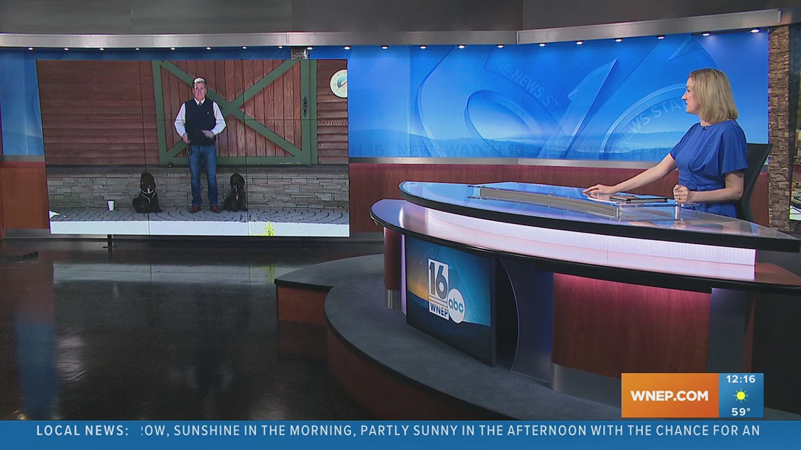 WNEP.com | News, Weather & Sports from WNEP-TV — Proud to Serve ...