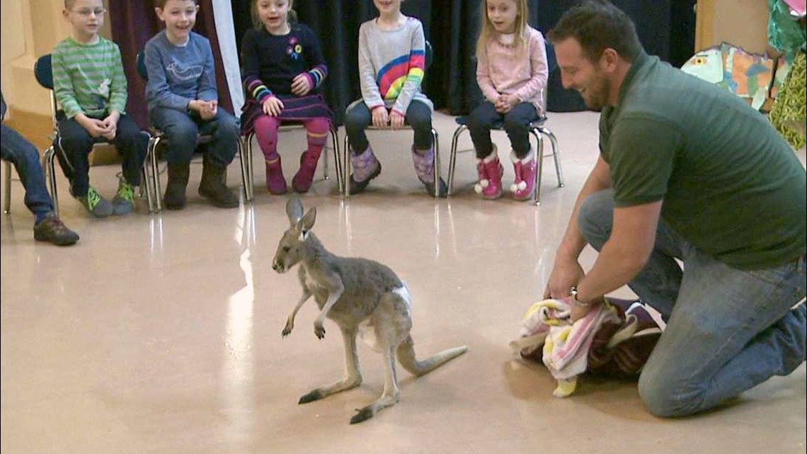 Australian Outback Comes To School | wnep.com