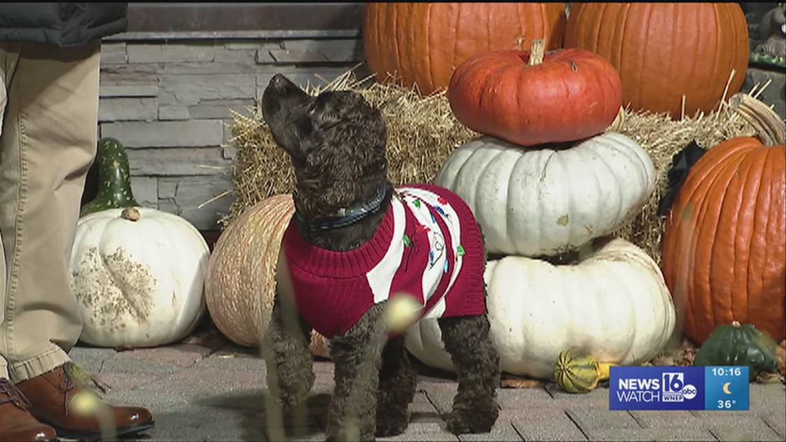 WNEP.com | News, Weather & Sports from WNEP-TV — Proud to Serve ...