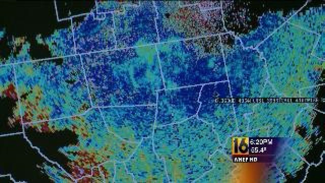 What's New on the Radar? | wnep.com